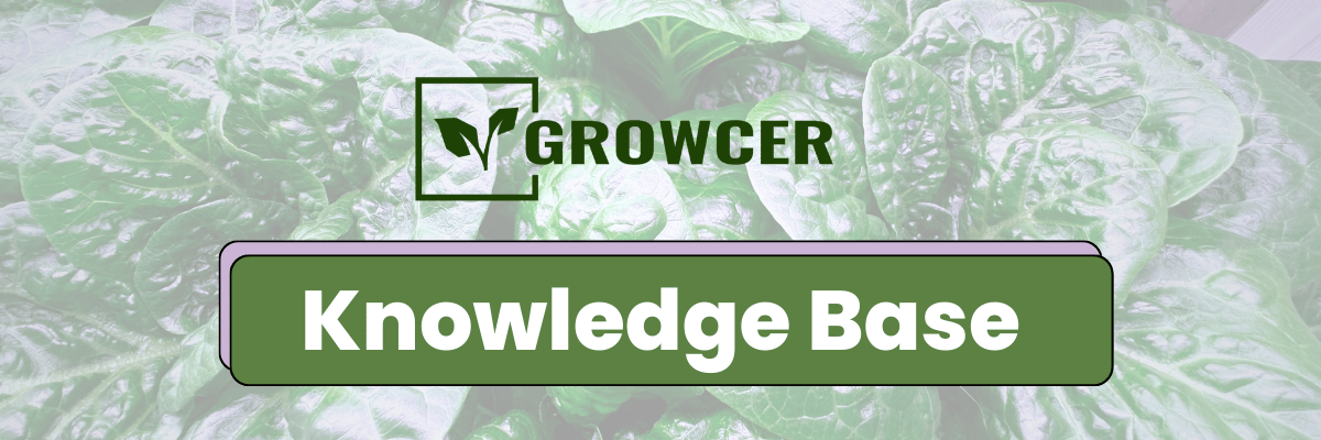 How to Update an App on Android, iPhone, or iPad